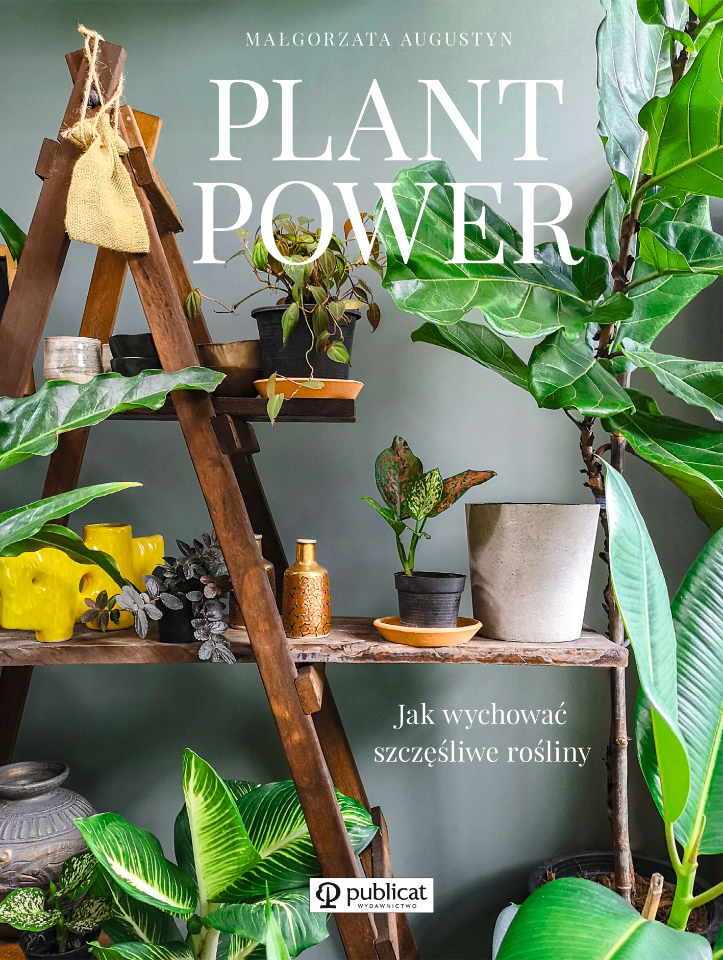Plant power jak wychować szczęśliwe rośliny